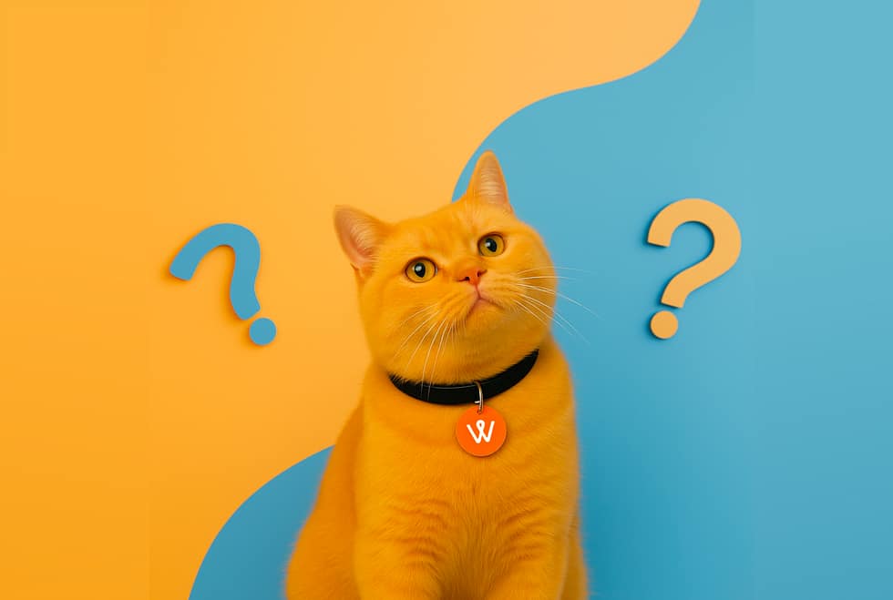 How Do You Choose An Online Coding Bootcamp in Germany?